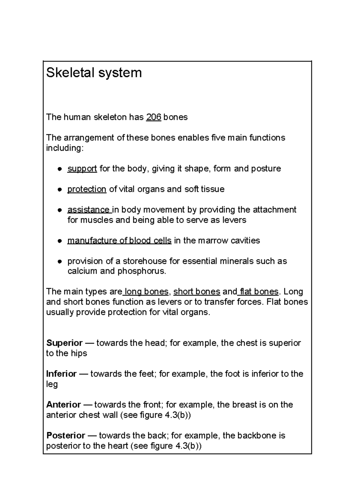 Pdhpe Task 2 / Body in motion - Skeletal system The human skeleton has ...