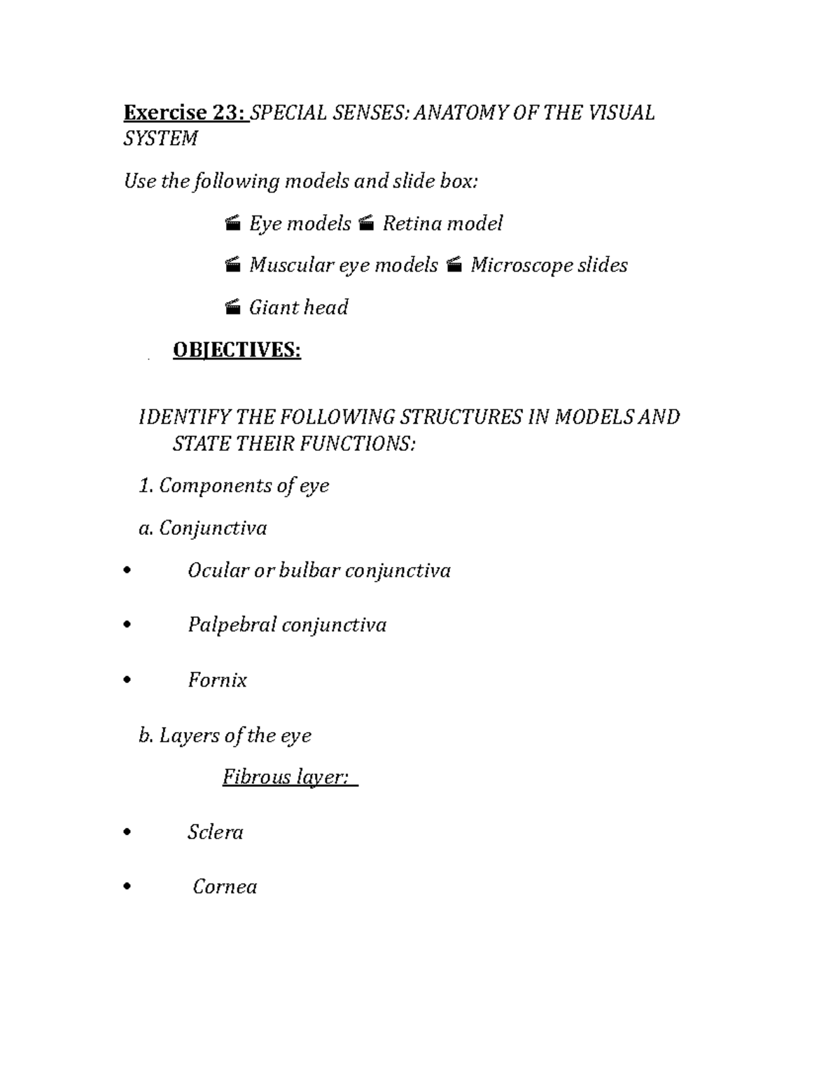 Lab Outline - Special Senses-Eye - Exercise 23: SPECIAL SENSES: ANATOMY ...