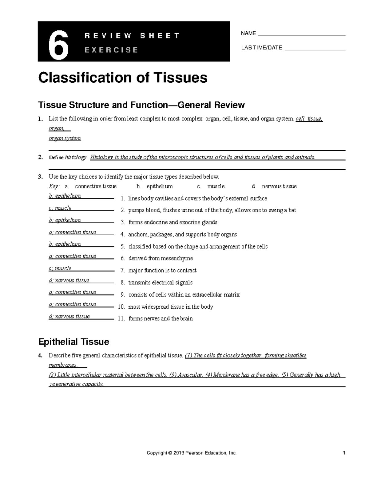 Review Sheet for Exercise 6: Classification of Tissues Analysis - Studocu