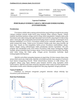 Laporan Praktikum Isolasi DNA, Elektroforesis GEL, DAN Polymerase Chain ...