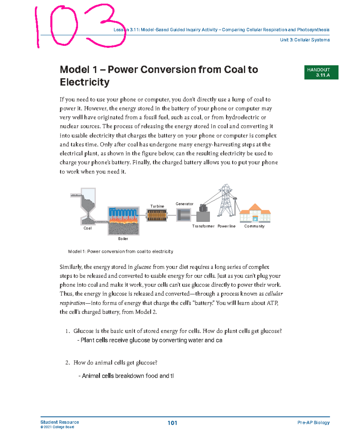 Lesson 3.11: Guided Inquiry on Cellular Respiration & Photosynthesis ...