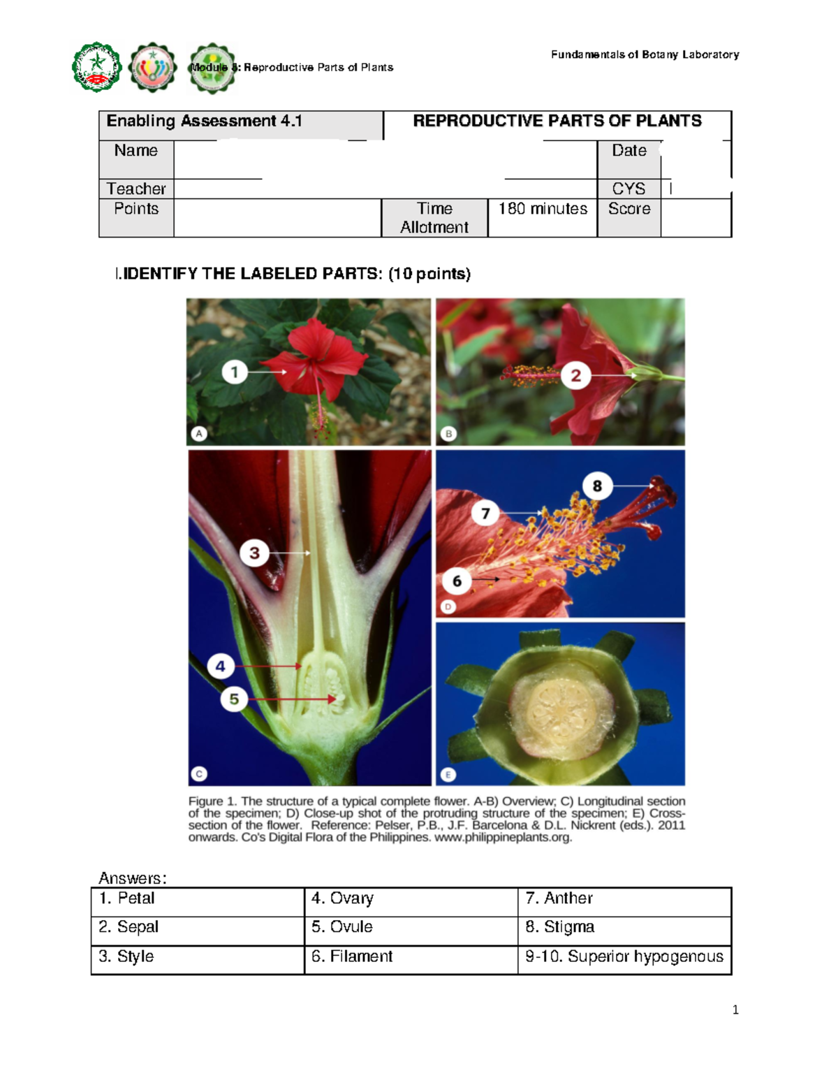 Botany Lab-Reproductive Parts of Plants - Module 8: Reproductive Parts ...