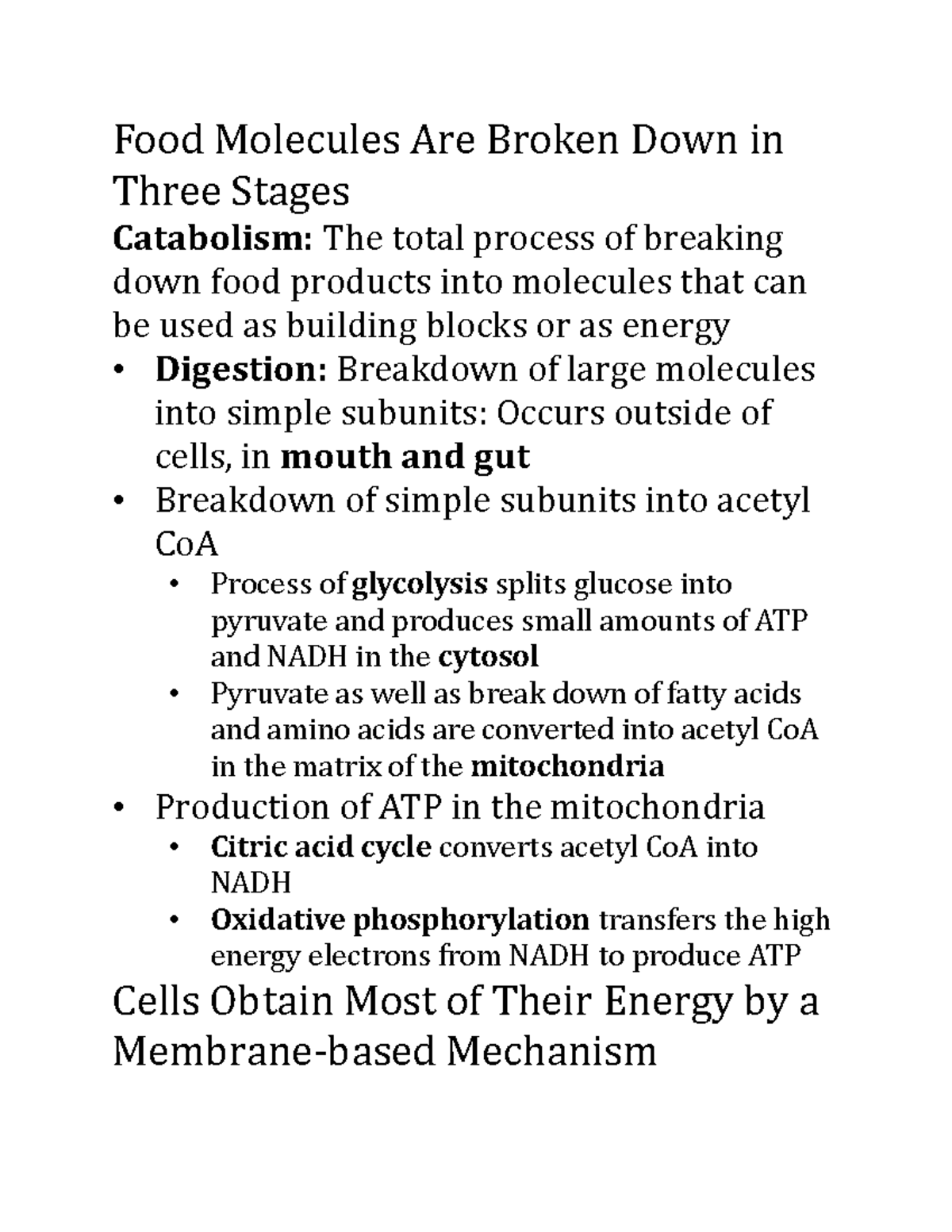 Food Molecules Are Broken Down in Three Stages - Food Molecules Are ...