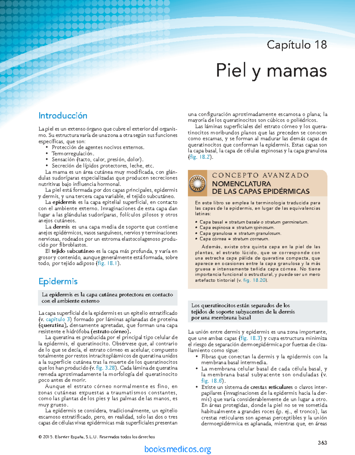 Capítulo 18: Piel y Mamas - Estructura y Funciones - Studocu