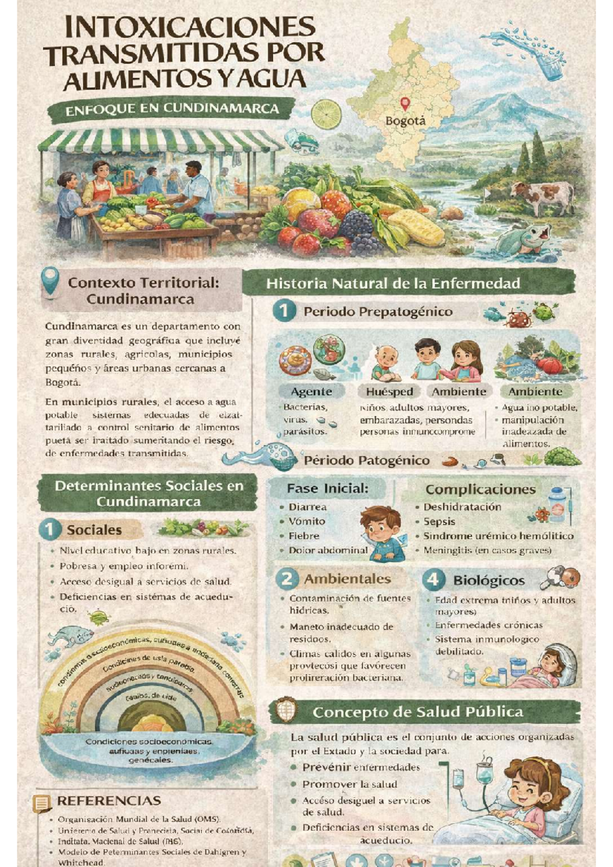 INTOXICACIONES ALIMENTARIAS EN CUNDINAMARCA: ENFOQUE Y CONTEXTO 1325 4B ...