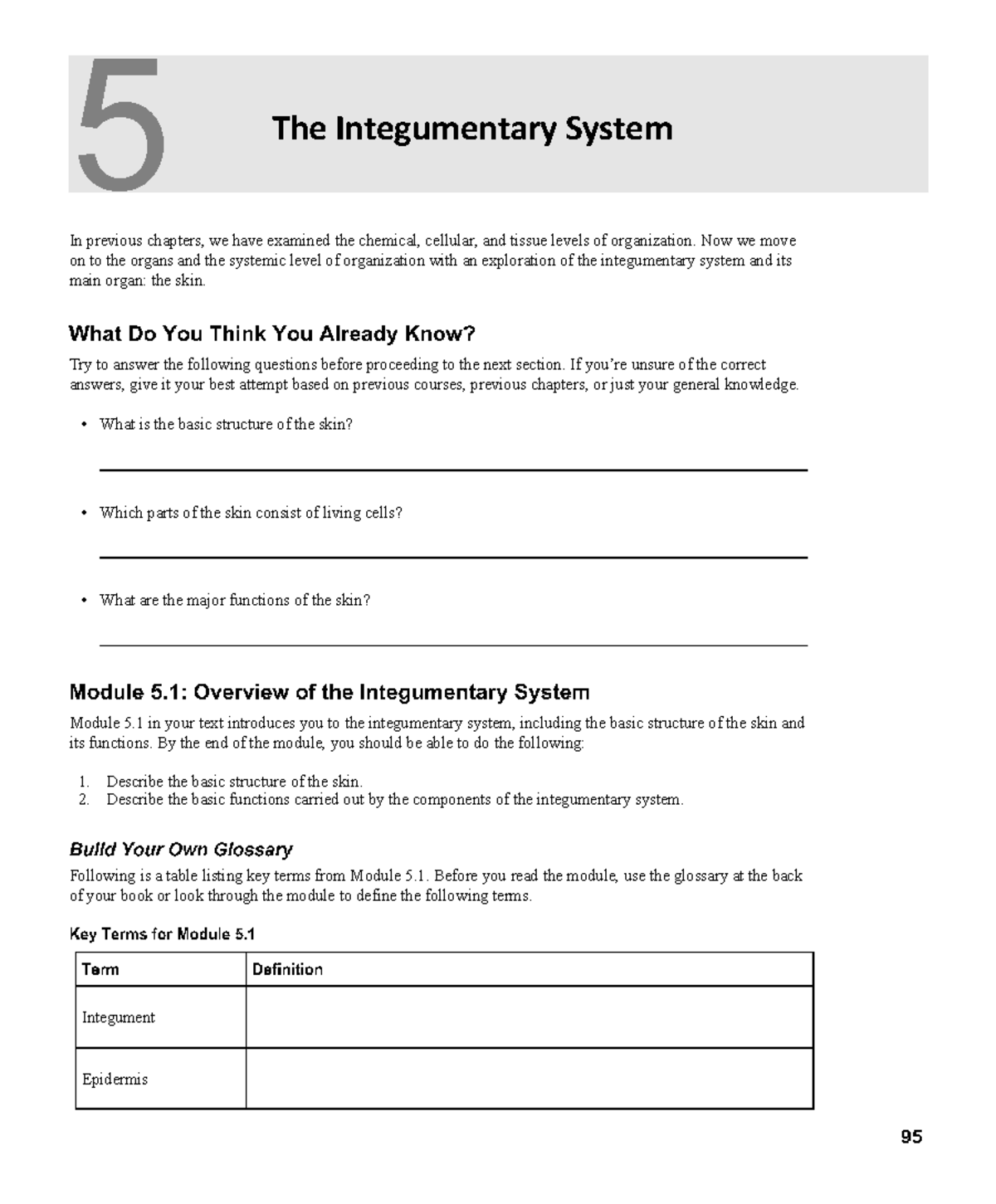 Chapter 5 - The Integumentary System: Key Concepts & Practice - Studocu