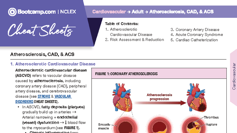 Atherosclerosis, CAD, & ACS Cheat Sheet: Key Concepts & Risk Factors ...