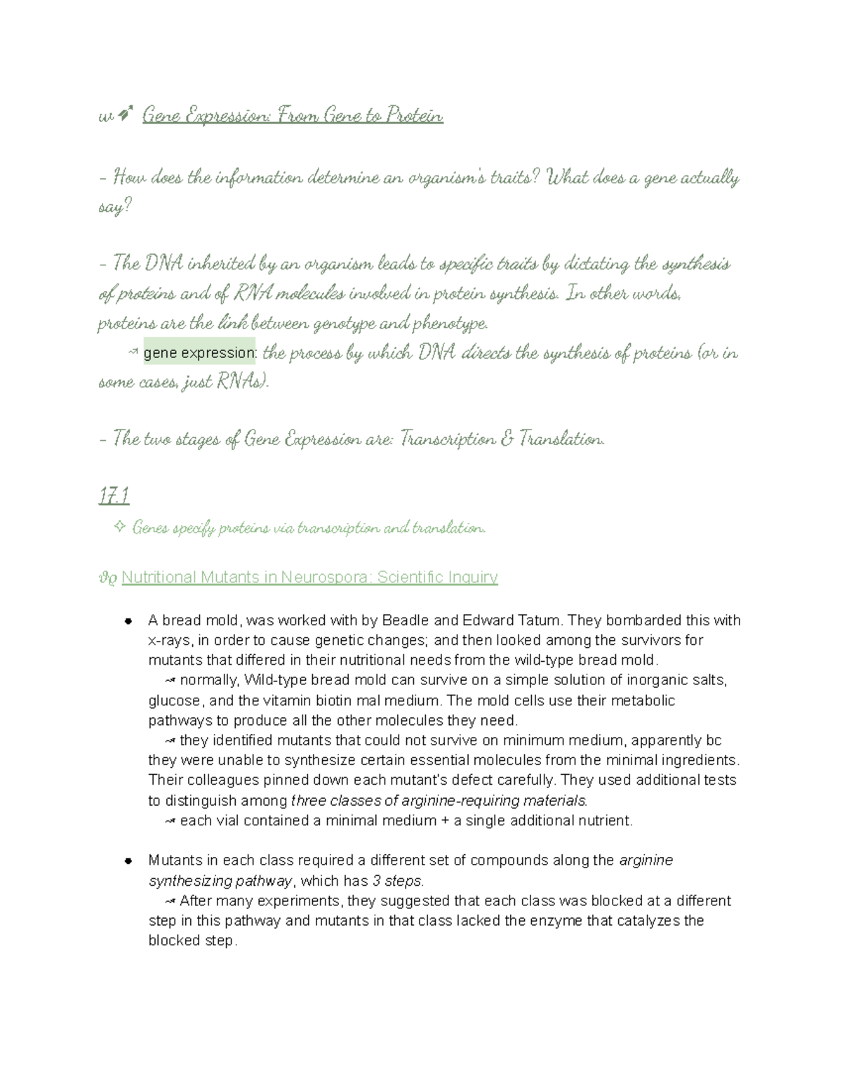 Chp 17: AP Bio Notes on Gene Expression and Protein Synthesis - Studocu