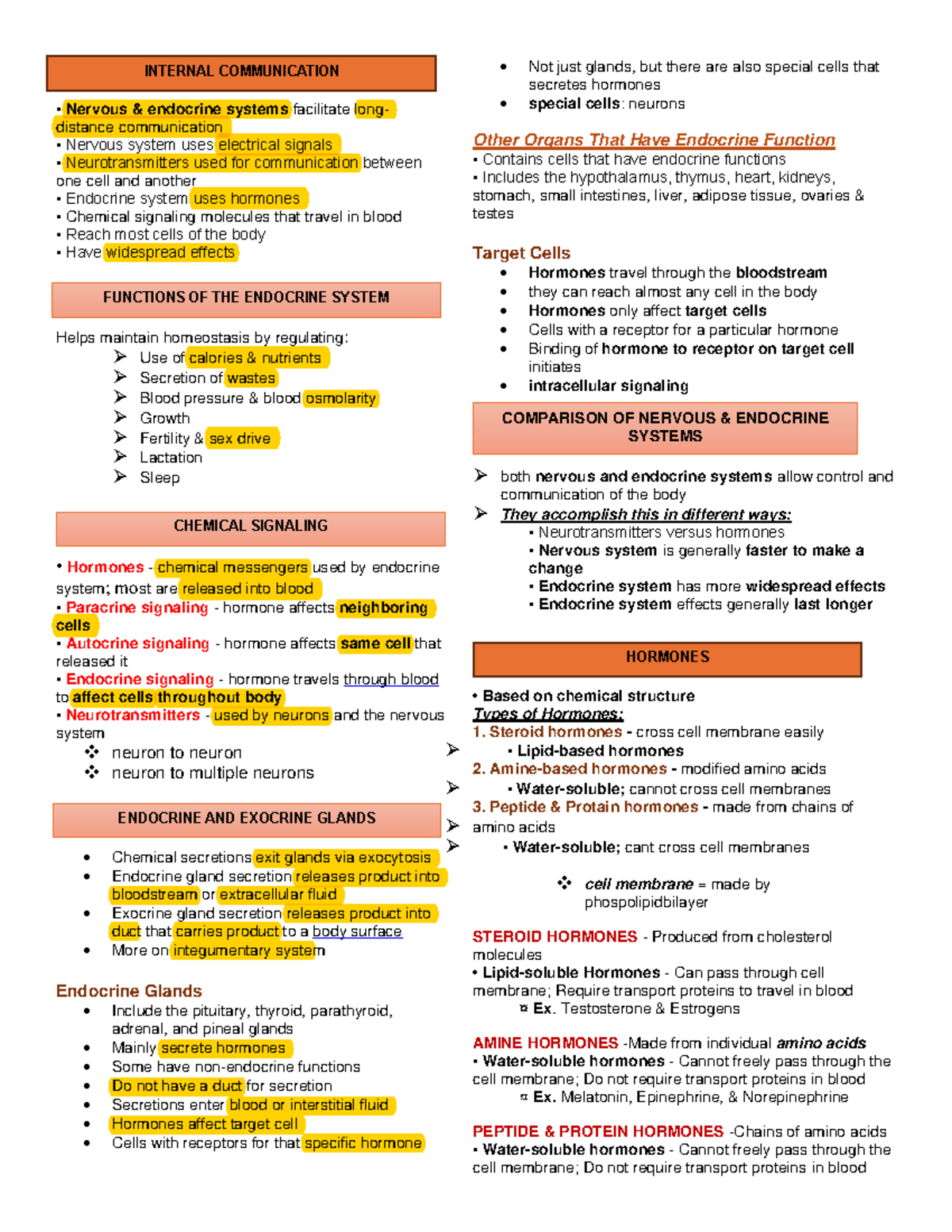 Endocrine System: Comprehensive Study Guide and Key Concepts - Studocu