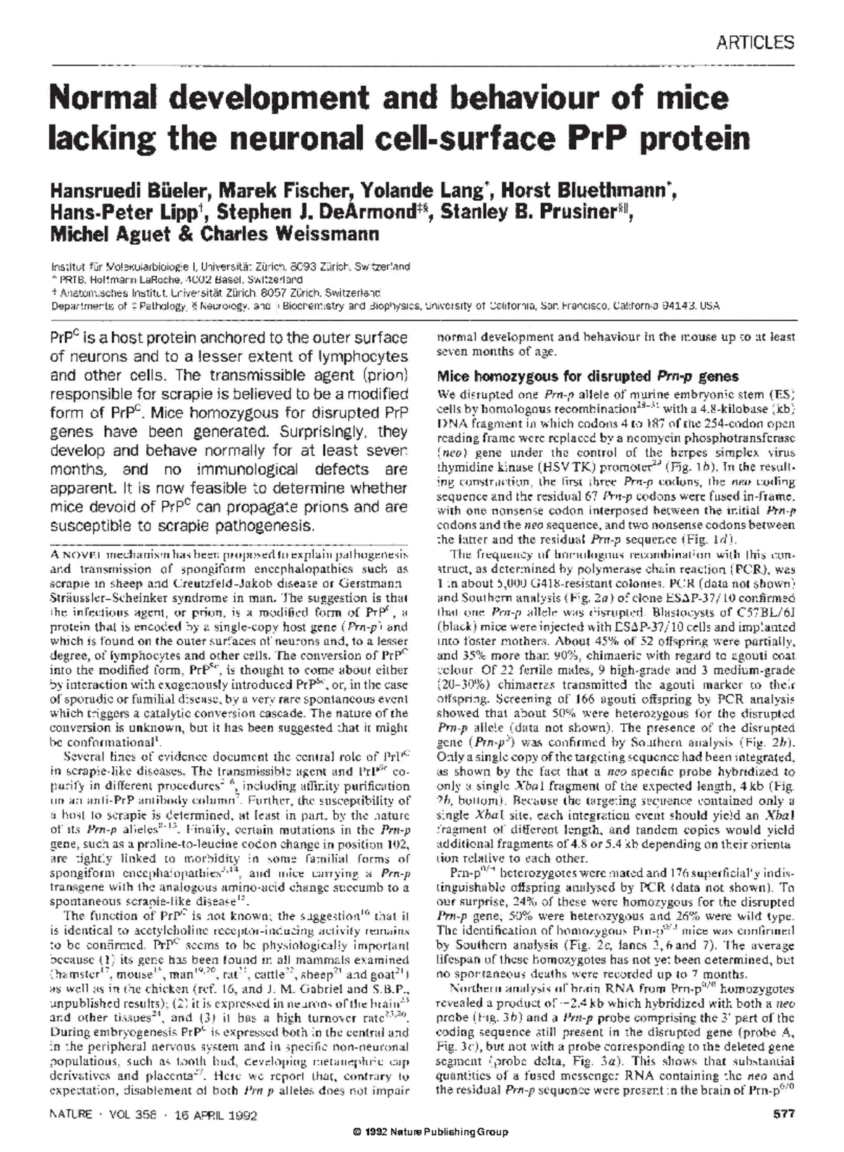 Prions and Neuronal PrP Protein: Insights from Mice Development (Paper ...