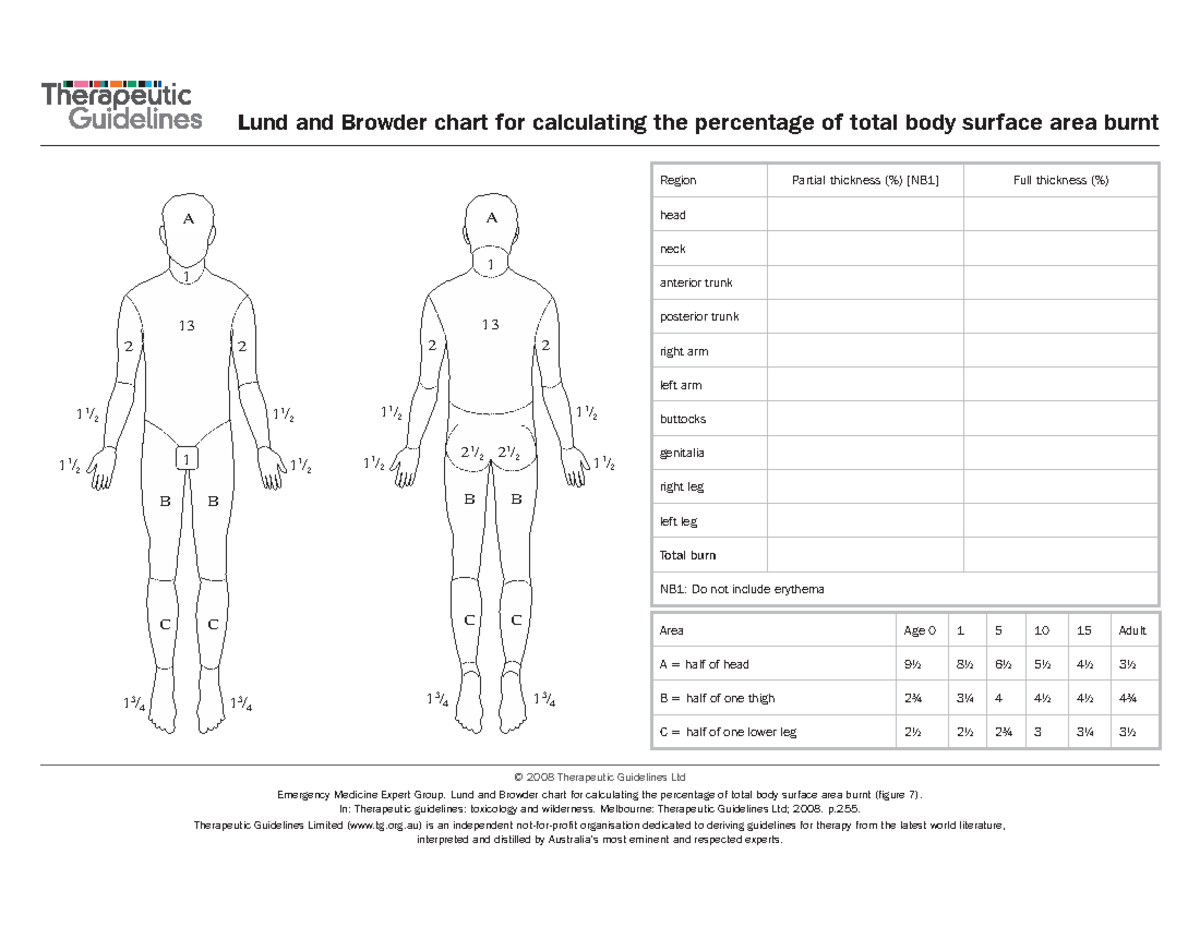 Lund & Browder Diagram for Burn Area Calculation - EM 2C C 2 1 1 2 ...