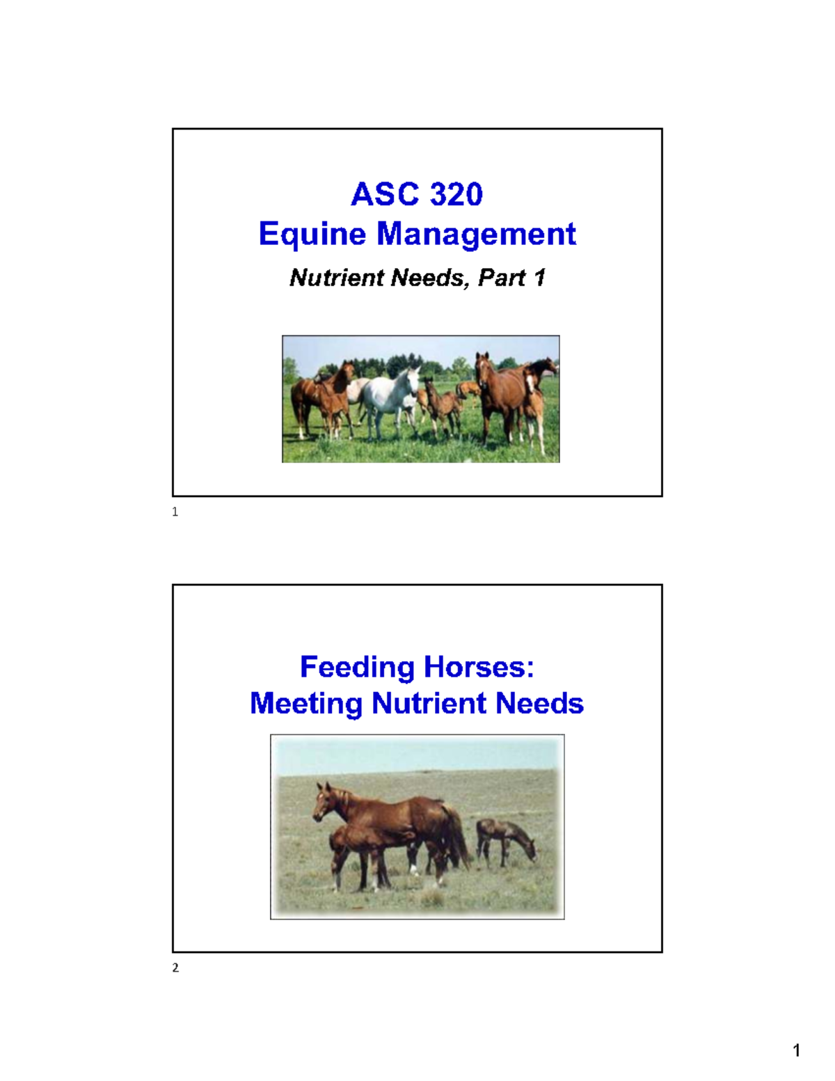 ASC 320 Equine Management: Comprehensive Nutrient Needs Overview - Studocu