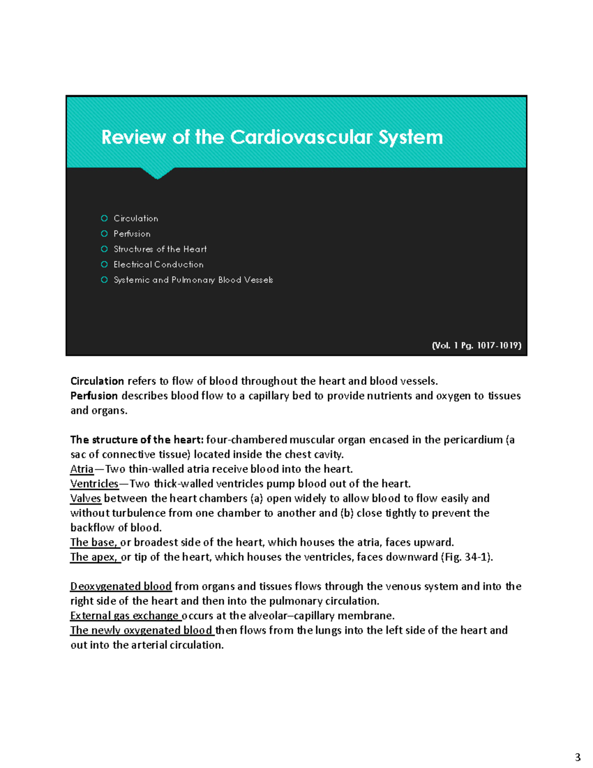Cardiovascular System Review: Circulation, Perfusion, and Heart ...
