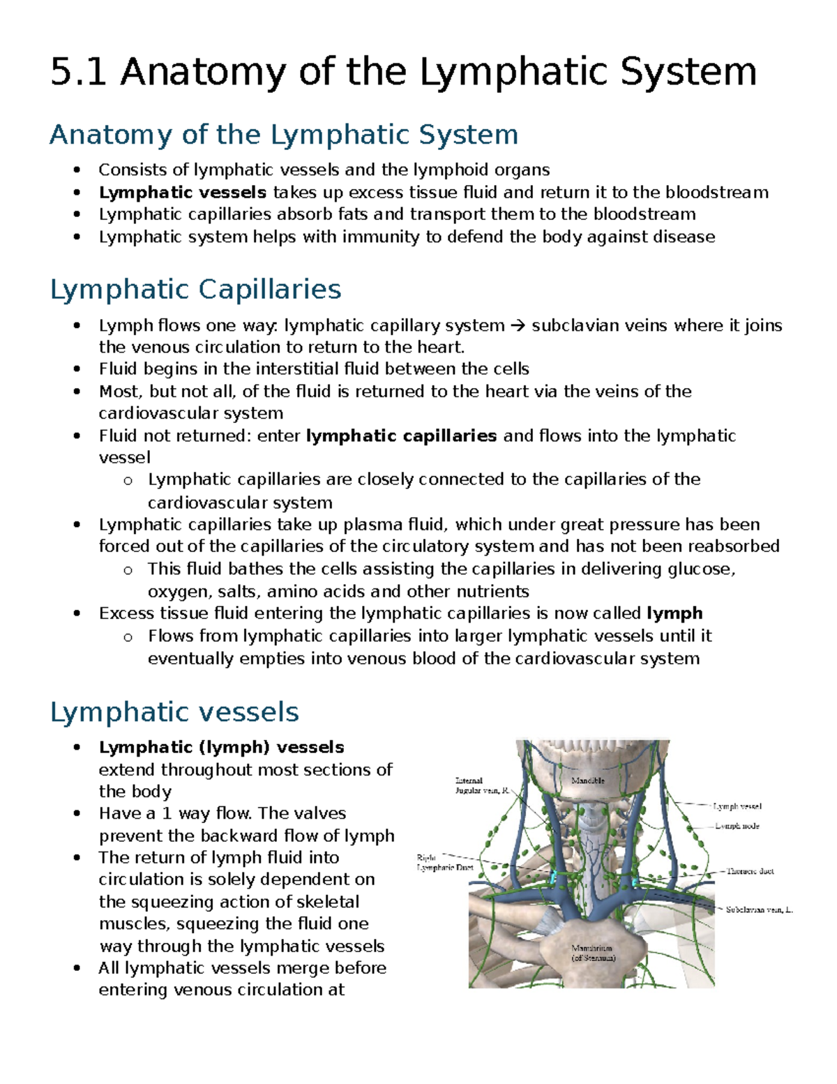 5.1 Anatomy of the Lymphatic System: Key Concepts and Functions - Studocu