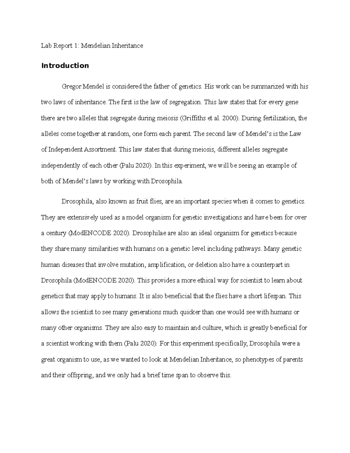 Genetics Lab Report 1: Exploring Mendelian Inheritance in Drosophila ...