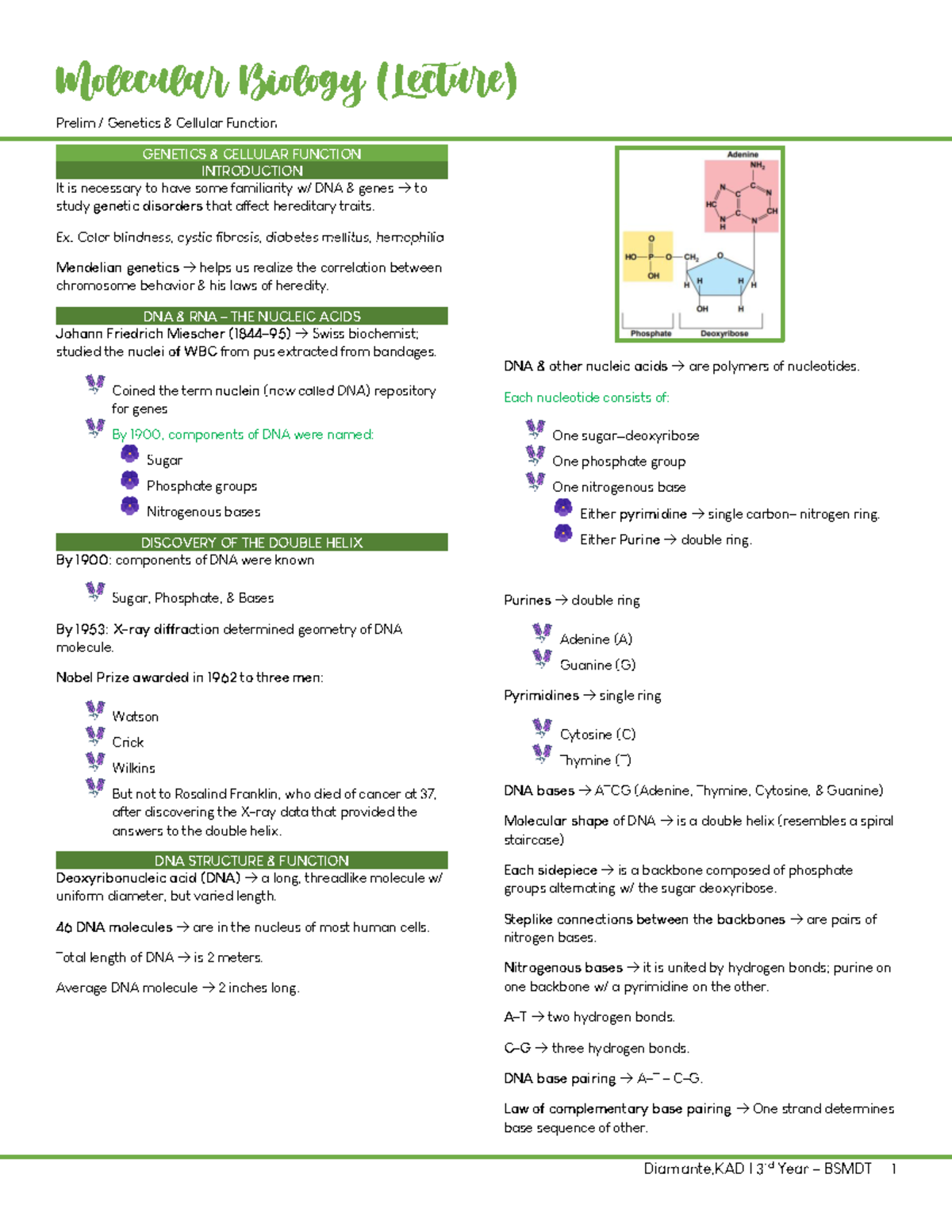 Genetics & Cellular Function Prep (Mol Bio Lec) by Mrs. Coloma - Studocu
