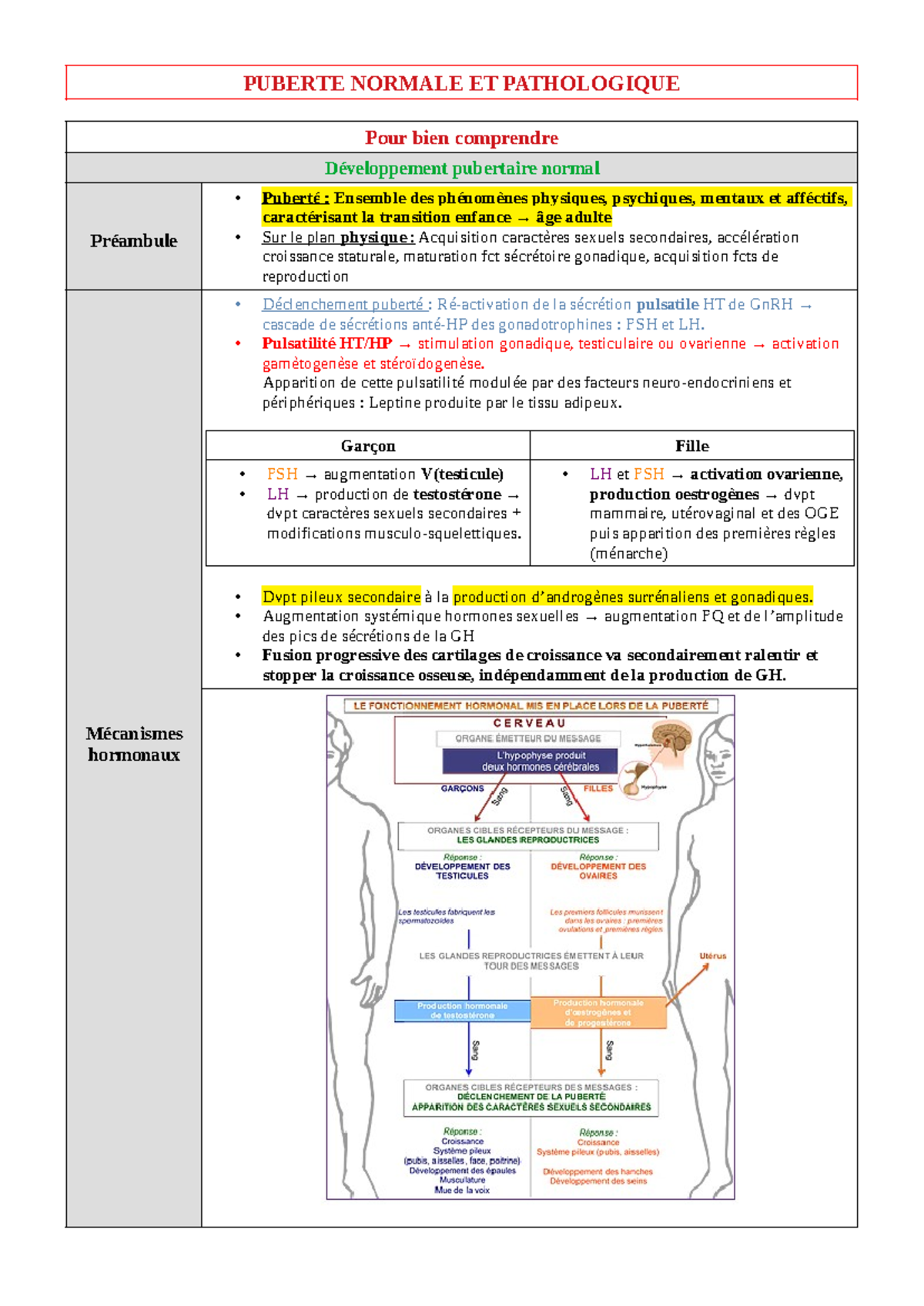 Puberté (item47) - PUBERTE NORMALE ET PATHOLOGIQUE Pour bien comprendre ...
