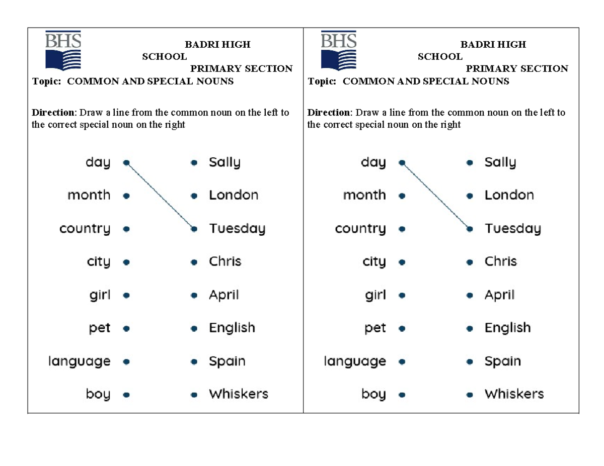 2 - noun2 - ENGL099 - BADRI HIGH SCHOOL PRIMARY SECTION Topic: COMMON ...