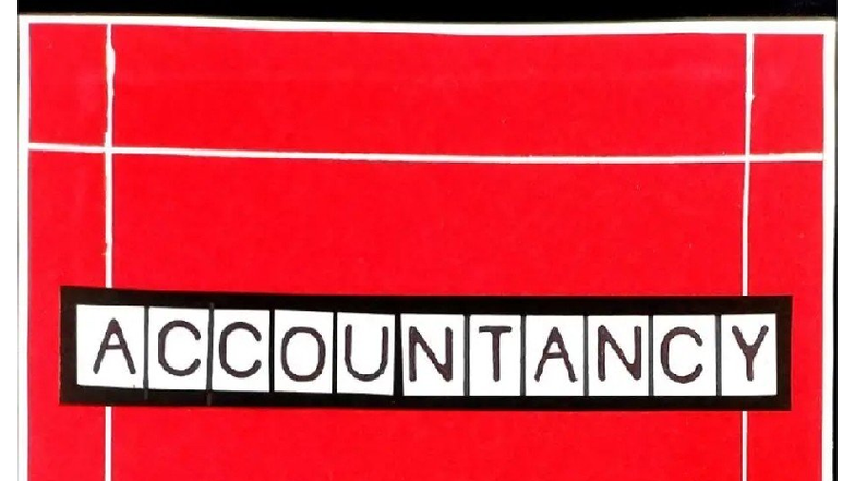 Accountancy Project File Example: Analysis of Financial Liabilities ...