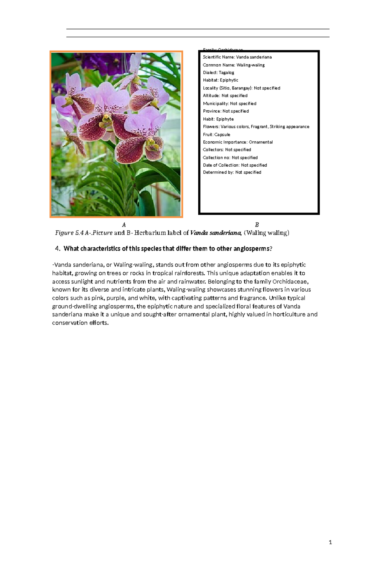 Vascular Plants: Unique Traits of Angiosperms (Module-V) - Studocu