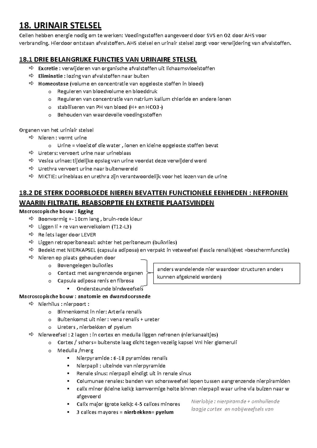Urinair Stelsel - Functies en Anatomie (H18) Lecture Notes - Studocu