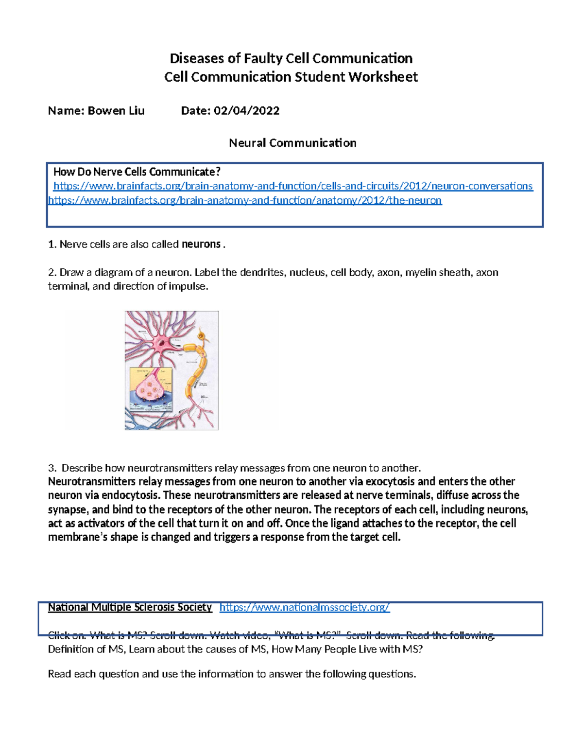 STV Diseases of Faulty Cell Communication: Biology Overview 2023 - Studocu
