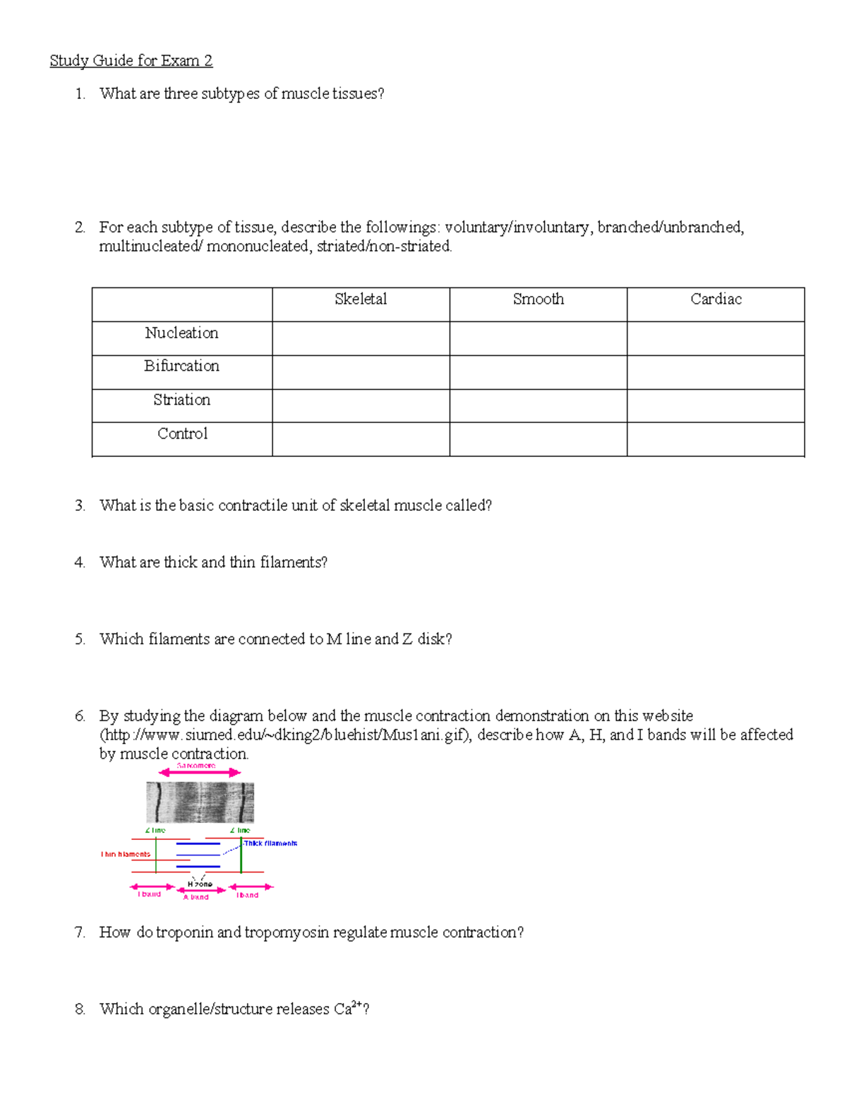 Exam 2 Study Guide: Muscle Tissue & Cardiovascular System - Studocu