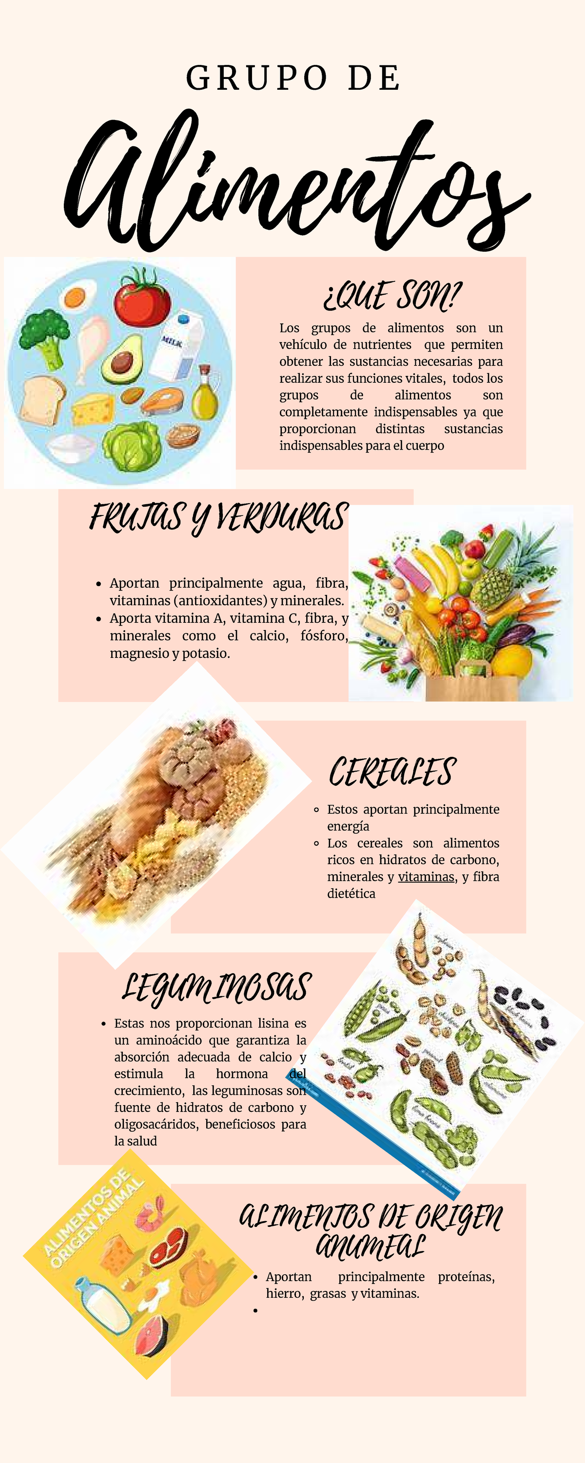 Infografía: Grupos de Alimentos y sus Nutrientes Esenciales - Studocu