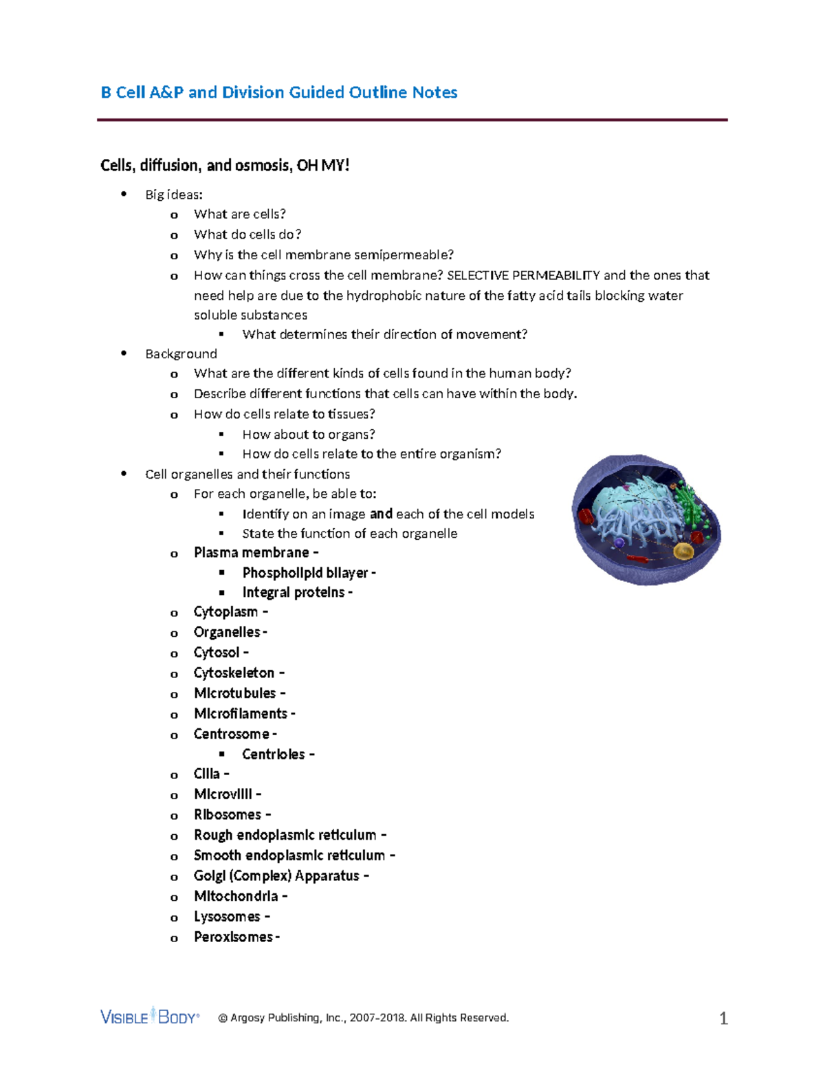 Cell A P and Mitosis Guided Outline Notes - B Cell A&P and Division ...