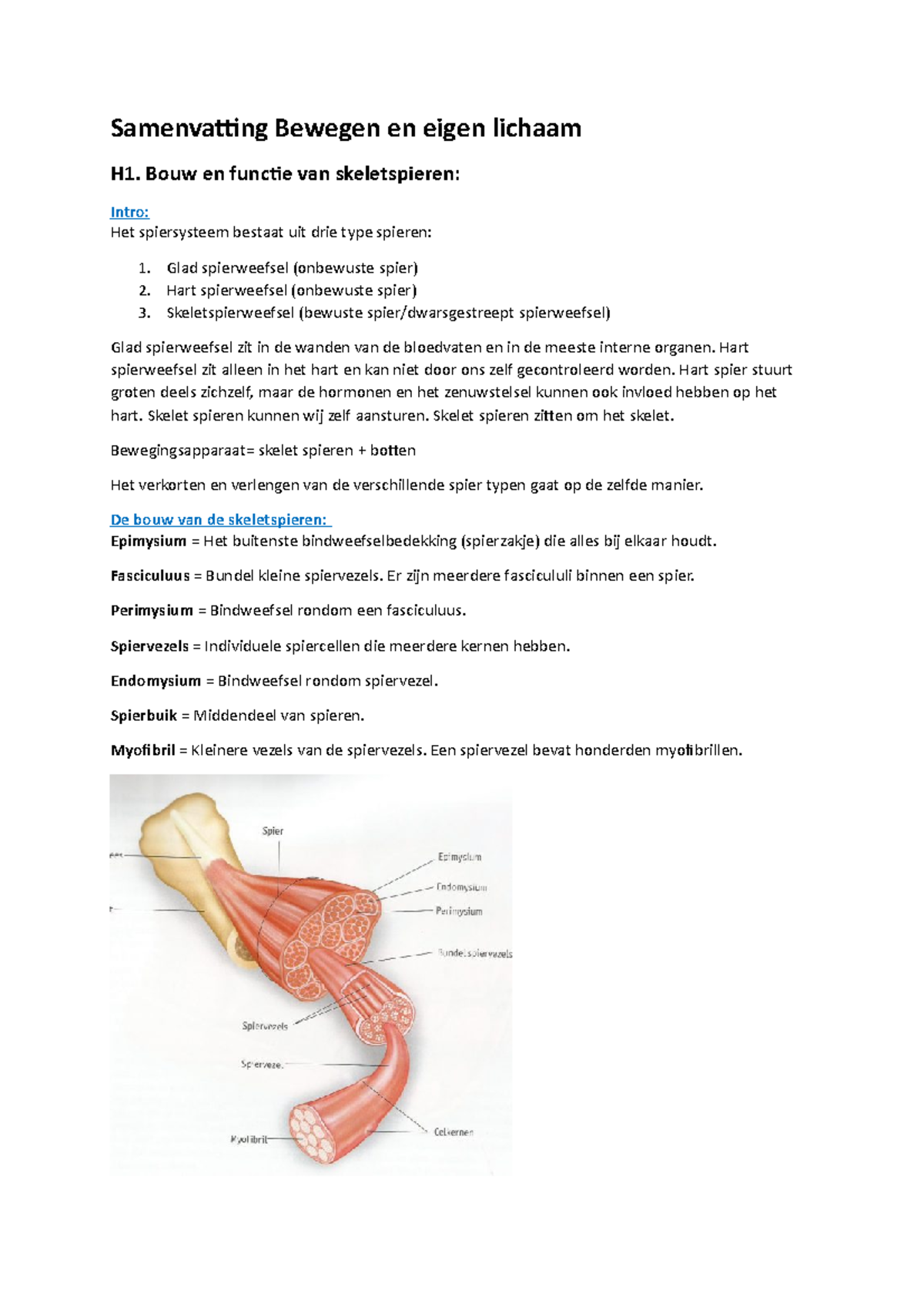 Samenvatting Fysiologie: Skeletspieren en Zenuwimpulsen - Studeersnel