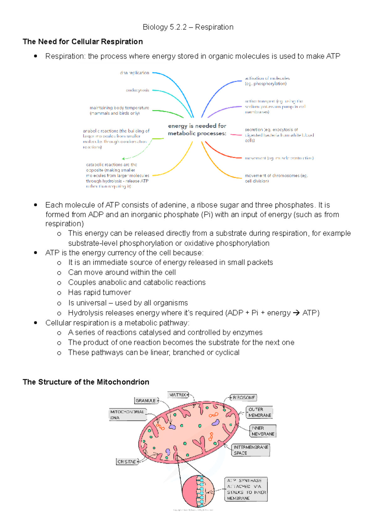 OCR A Level Biology 5.2.2 - Respiration - Biology 5.2 – Respiration The ...
