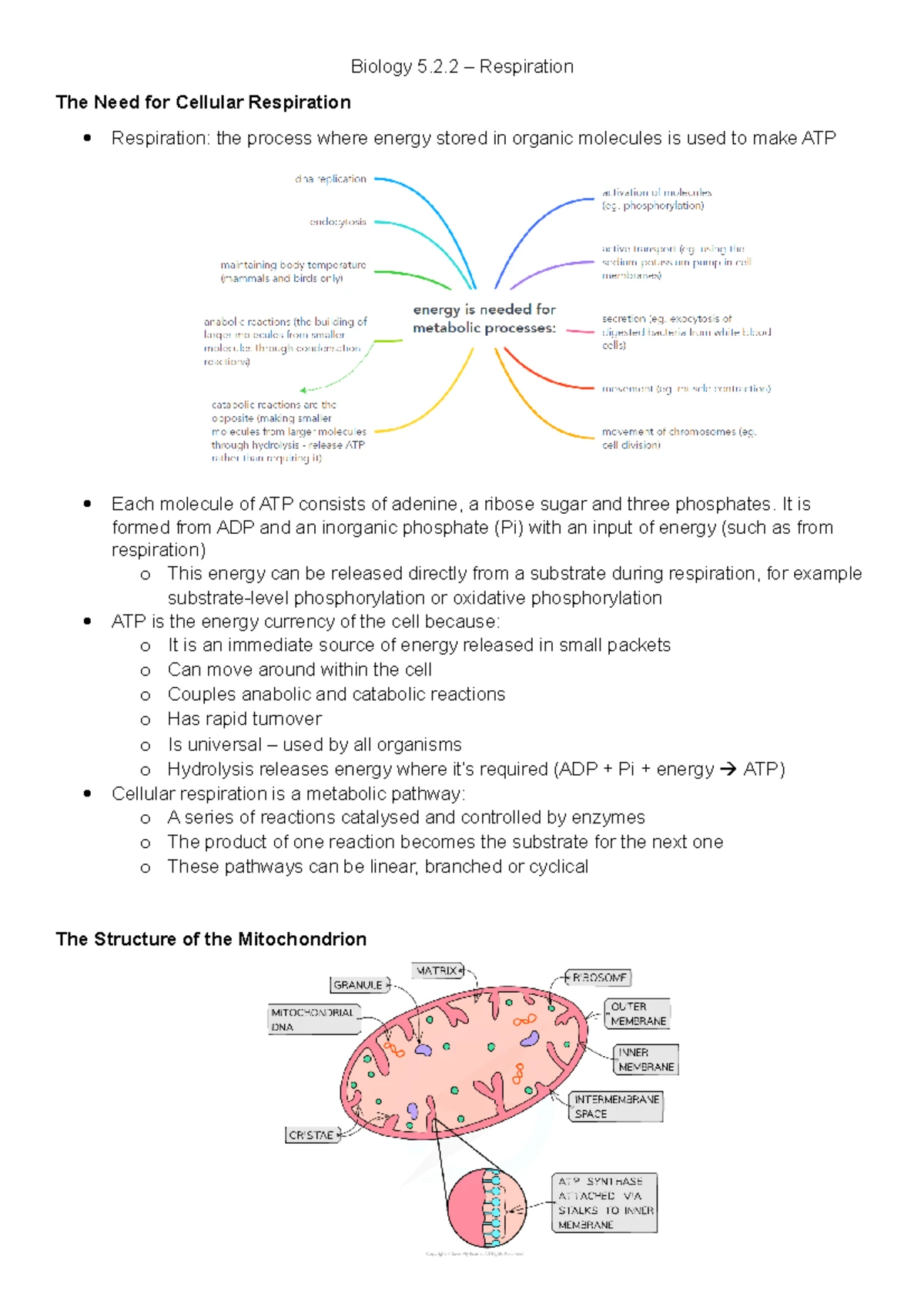 OCR A-Level Biology Comprehensive Cheatsheet Summary - Studocu
