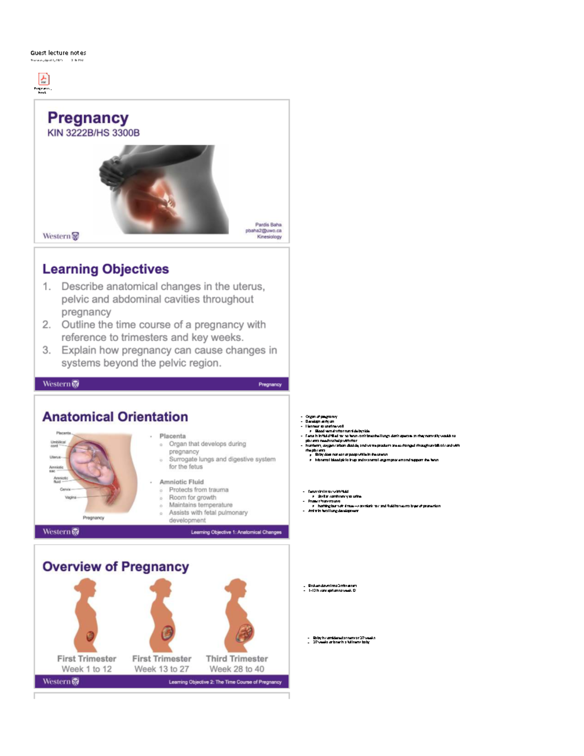 Guest Lecture Notes: Pregnancy Development and Physiology - Studocu