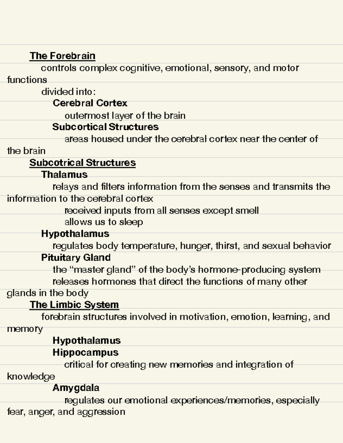 Psychology 101: Overview of the Forebrain - Chapter 3 Insights - Studocu