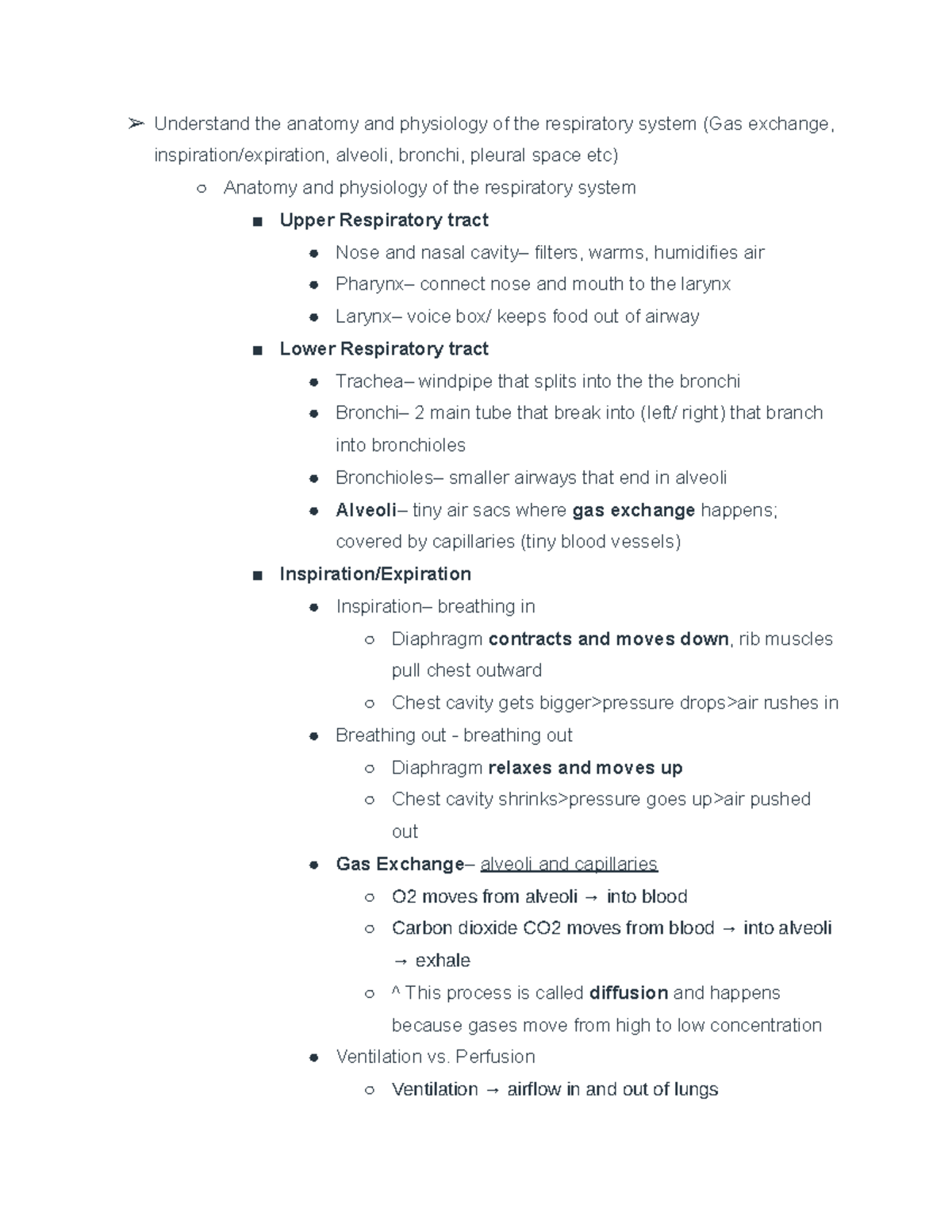 Patho 101: Respiratory System Anatomy & Physiology Study Guide - Studocu