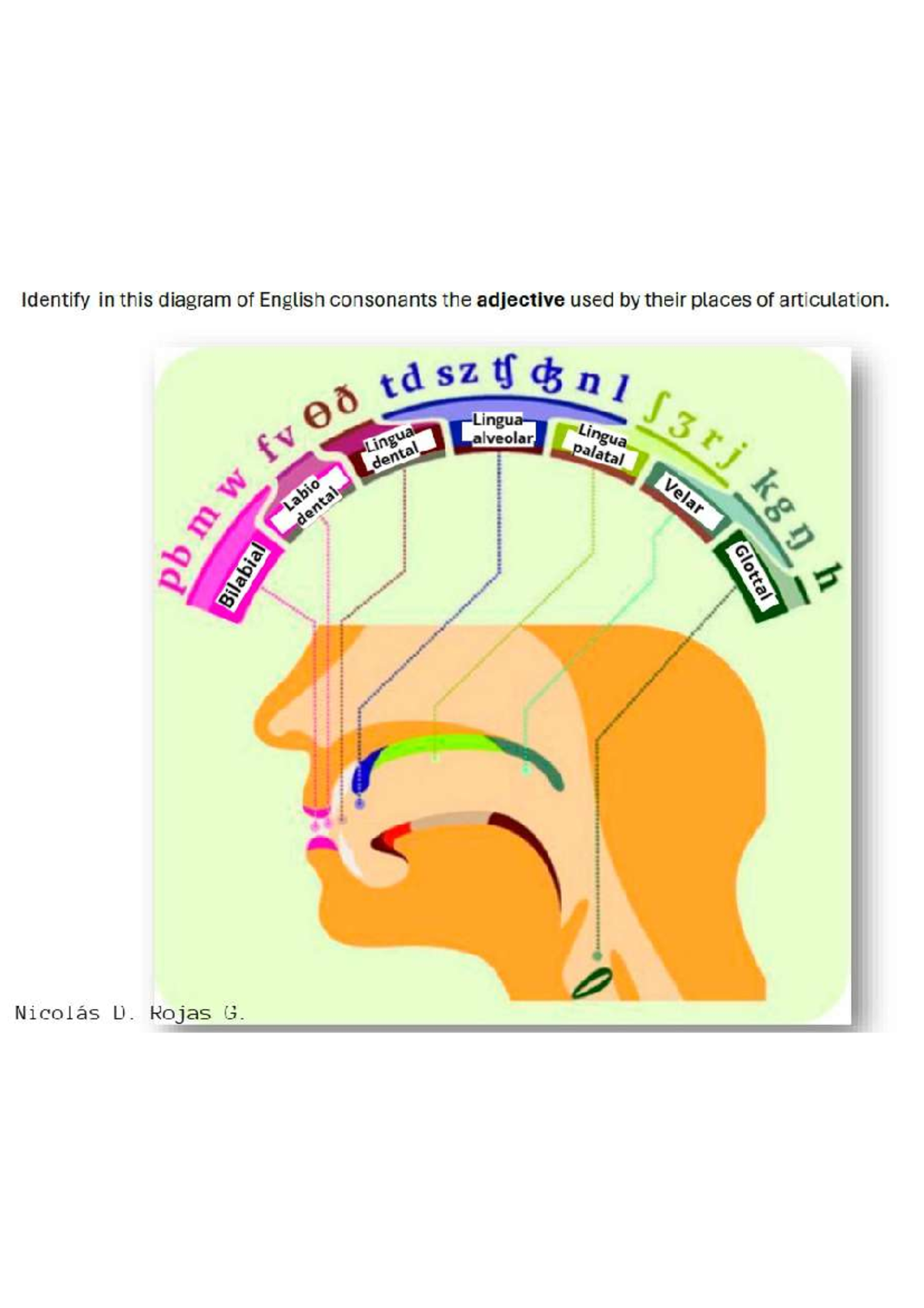Phonetics and Phonology Activity 08: Consonant Articulation Chart - Studocu