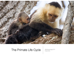 Lab 8 - This is Lab 10 in the book, Primate Taxonomy. Includes Prelab ...