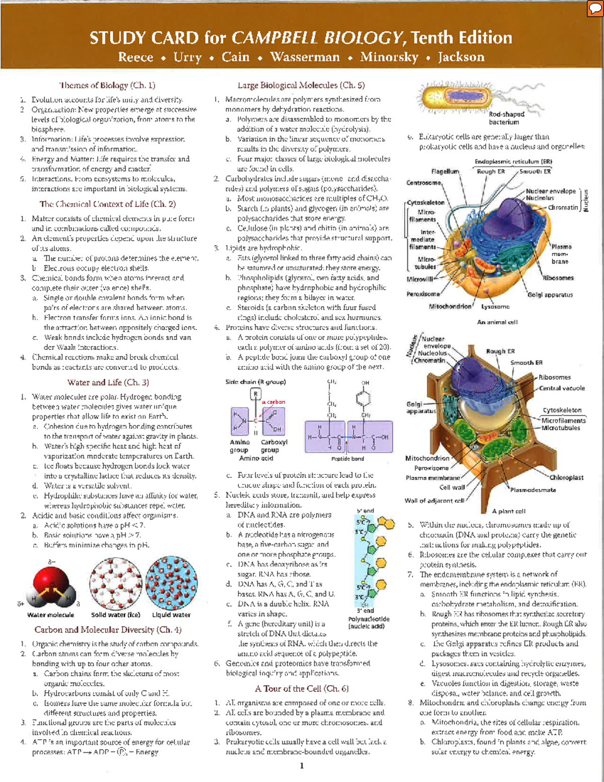 Study+CARD+2019 - Summaries. - STUDY CARD for CAMPBELL BIOLOGY, Tenth ...