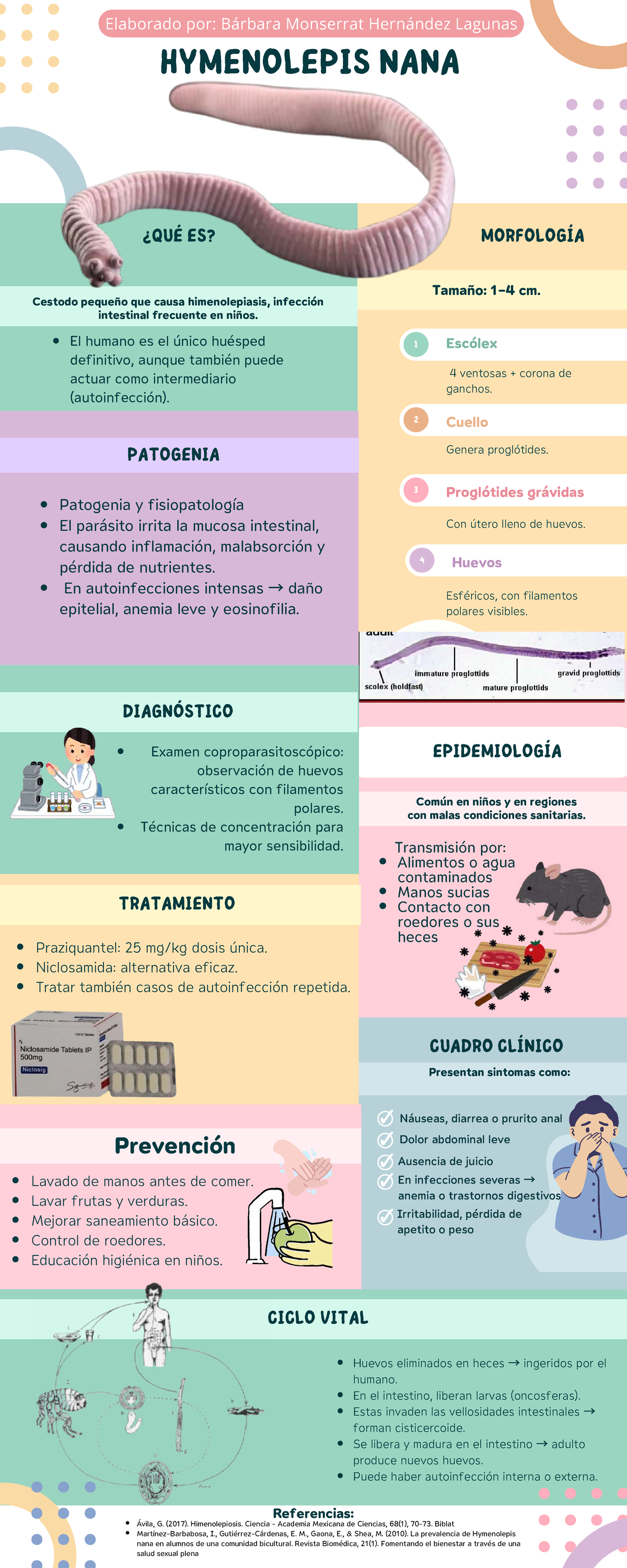 HYMENOLEPIS NANA: Morfología y Patogenia - Infografía - Studocu