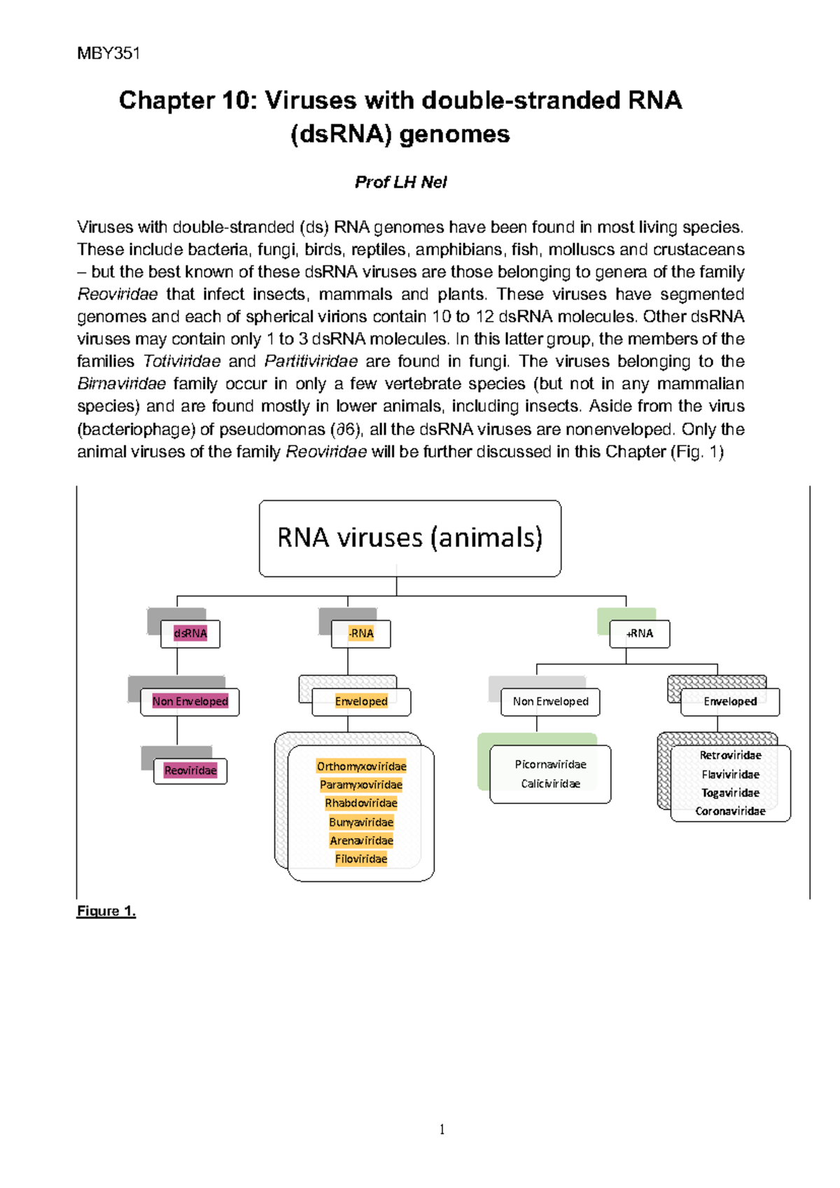 M351 Chapter 10: Double-Stranded RNA Viruses Overview - Studocu