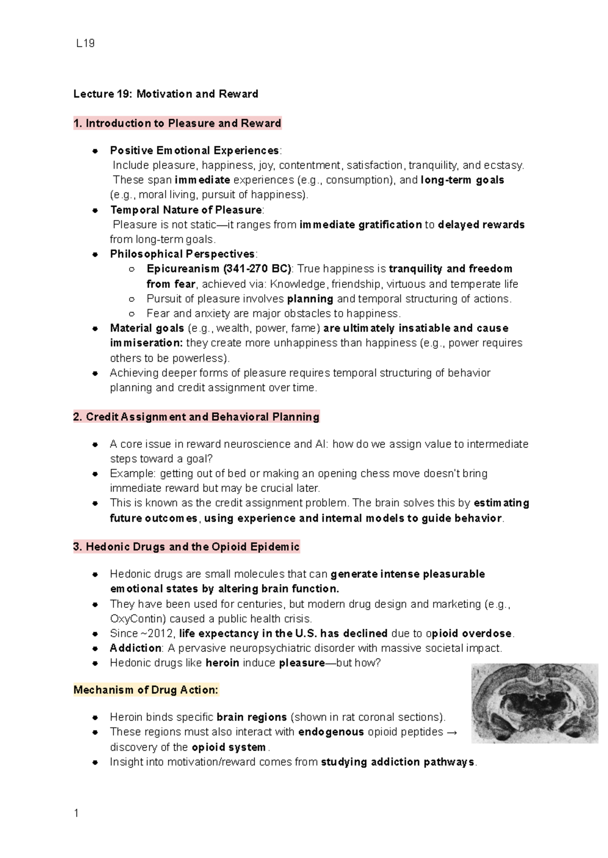 L19 Lecture 19: Motivation, Reward, and Hedonic Experience Summary ...