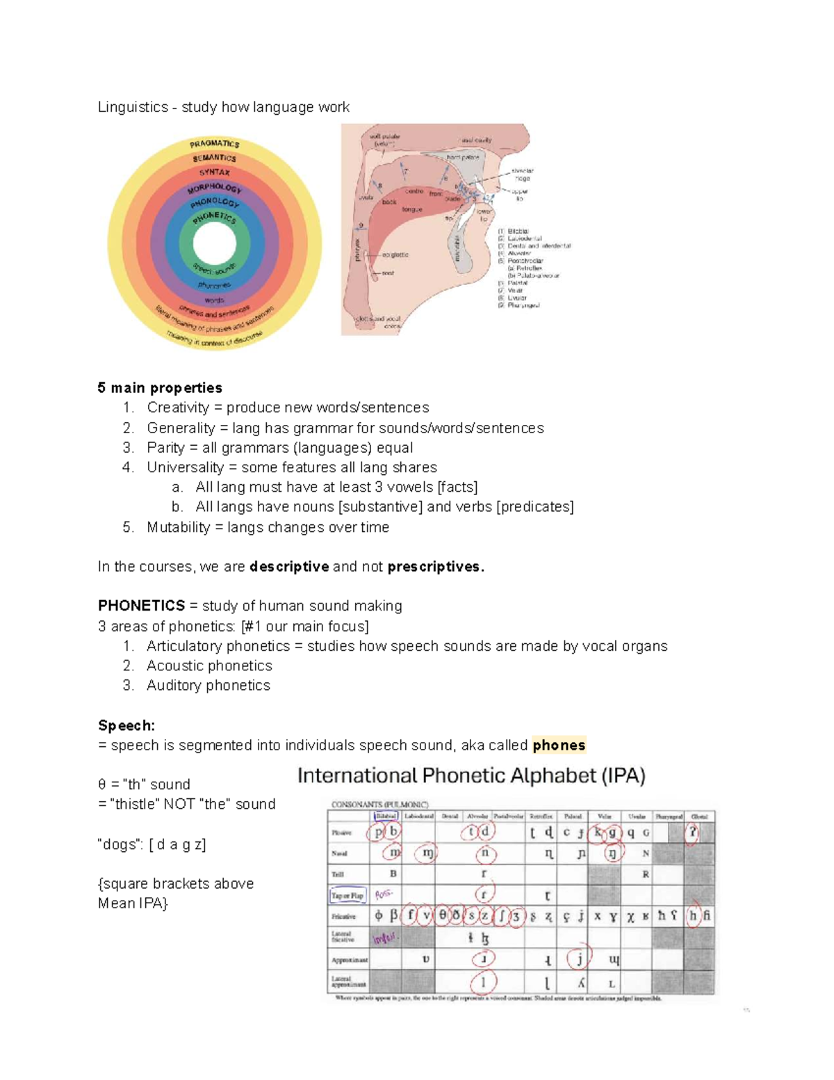 Introduction to Linguistics: Key Features of Language and Phonetics ...