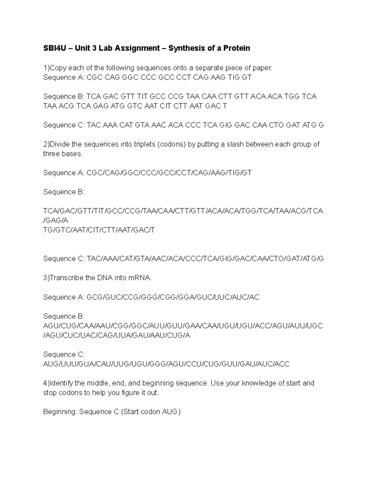 SBI4U Unit 3 Lab Report: Protein Synthesis Activity and Codons - Studocu