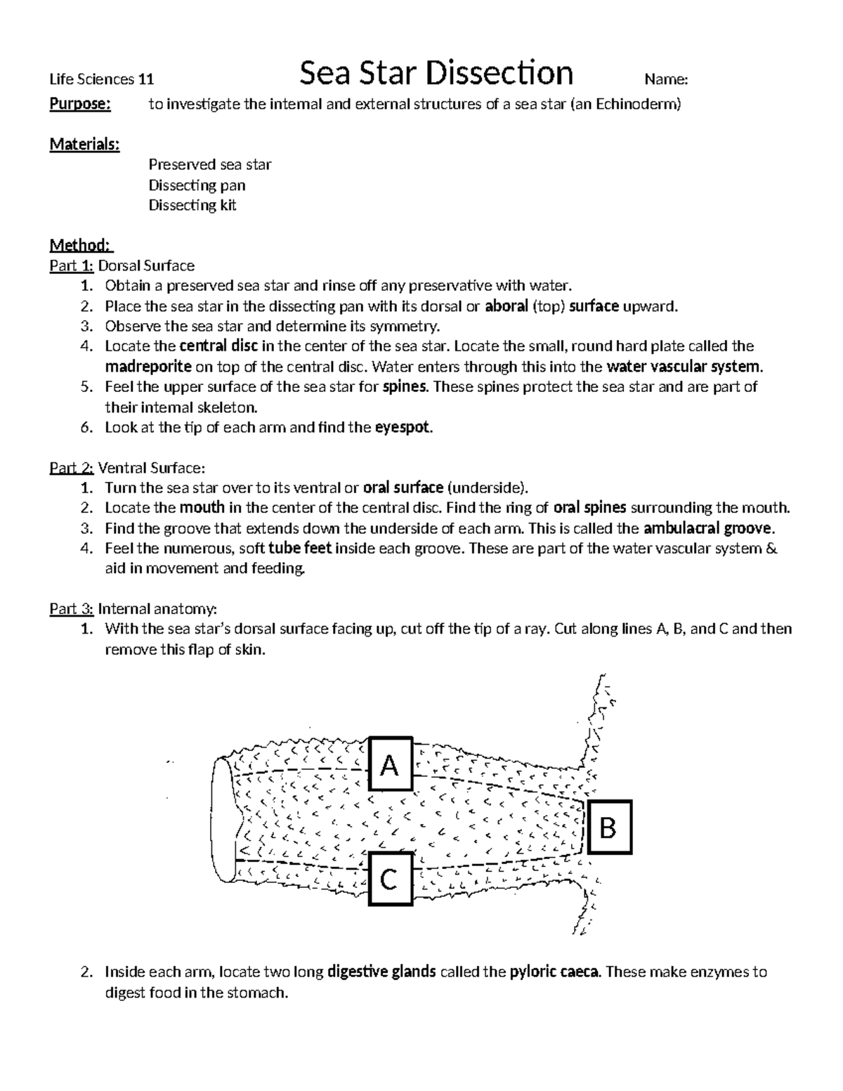 Life Sciences 11 Sea Star Dissection Lab Notes and Analysis - Studocu