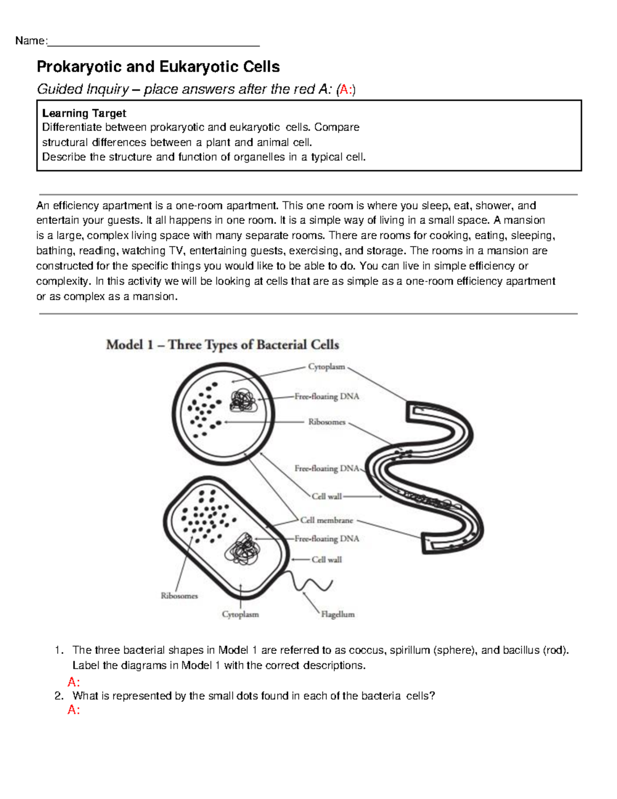 BIOL 101: Prokaryotic vs Eukaryotic Cells - Guided Inquiry Activity ...