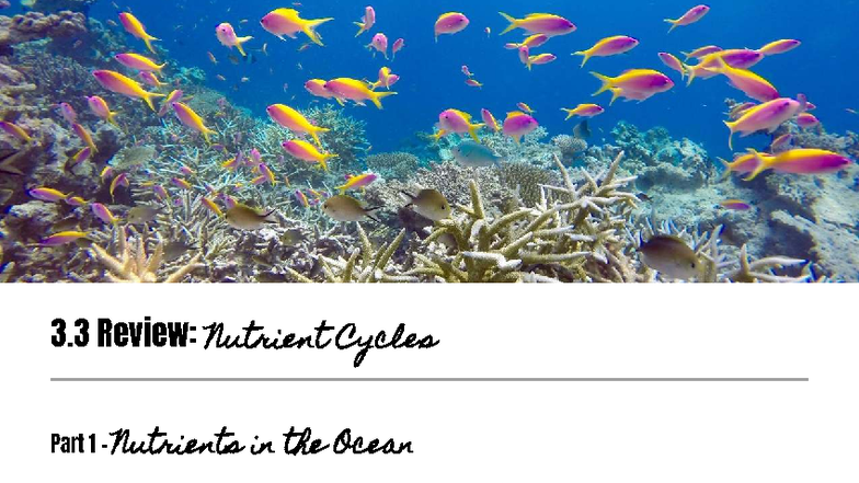AICE 3.3 Review: Nutrient Cycles & Oceanic Nutrient Processes - Studocu