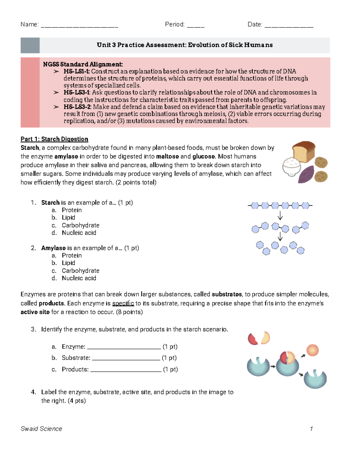 Unit 3 Practice Assessment: Evolution of Human Amylase Synthesis - Unit ...