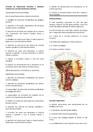 Centro Semioval - Apuntes 1 - CAPITULO XVIII. El centro semioval o ...