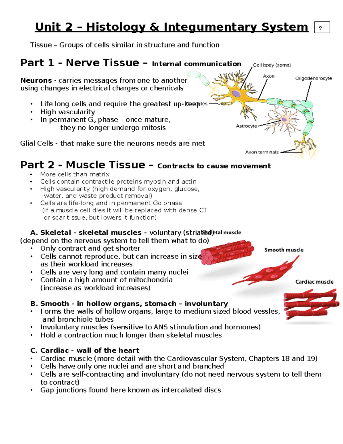 Tissue Notes- completed-2 - Unit 2 – Histology & Integumentary System ...