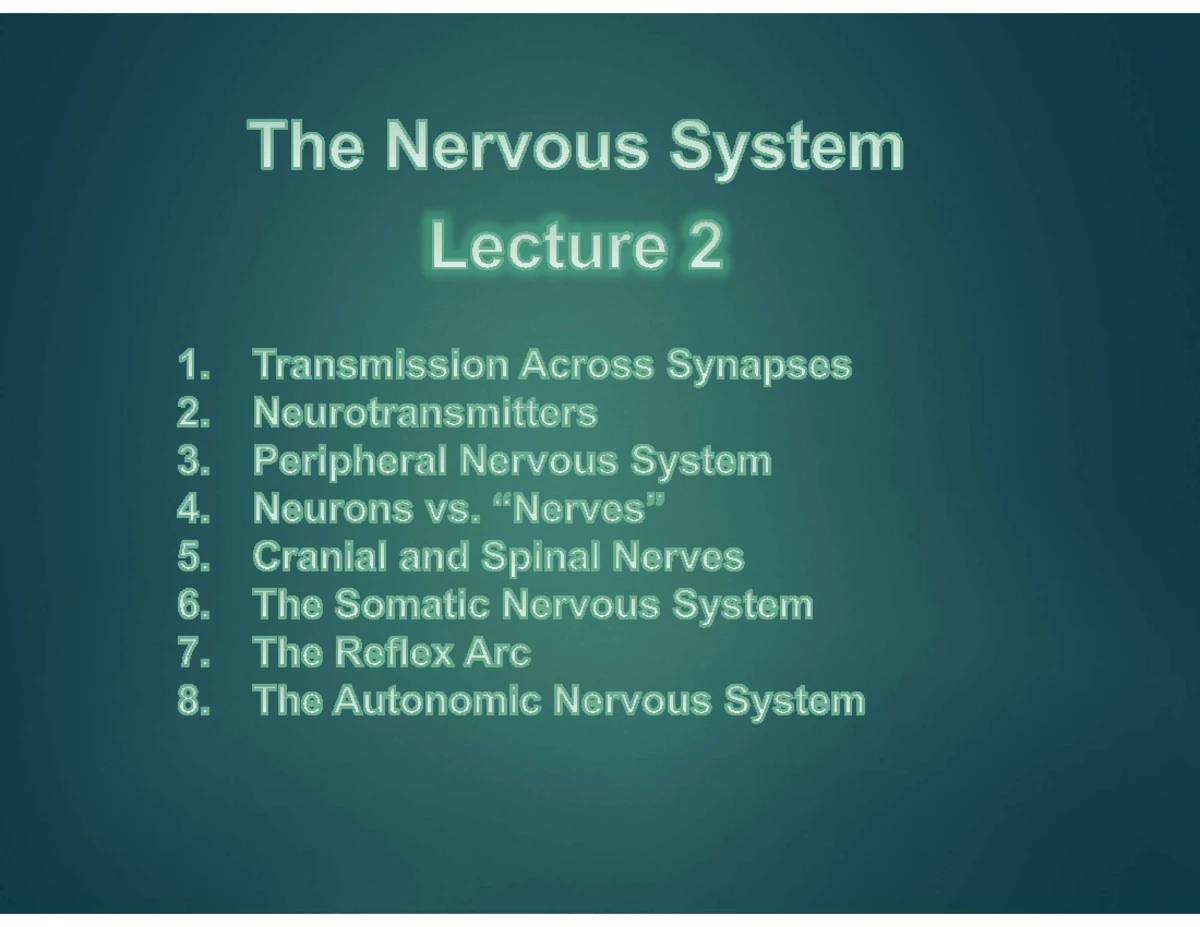 Comprehensive Guide to the Nervous System: Structure & Functions - Studocu